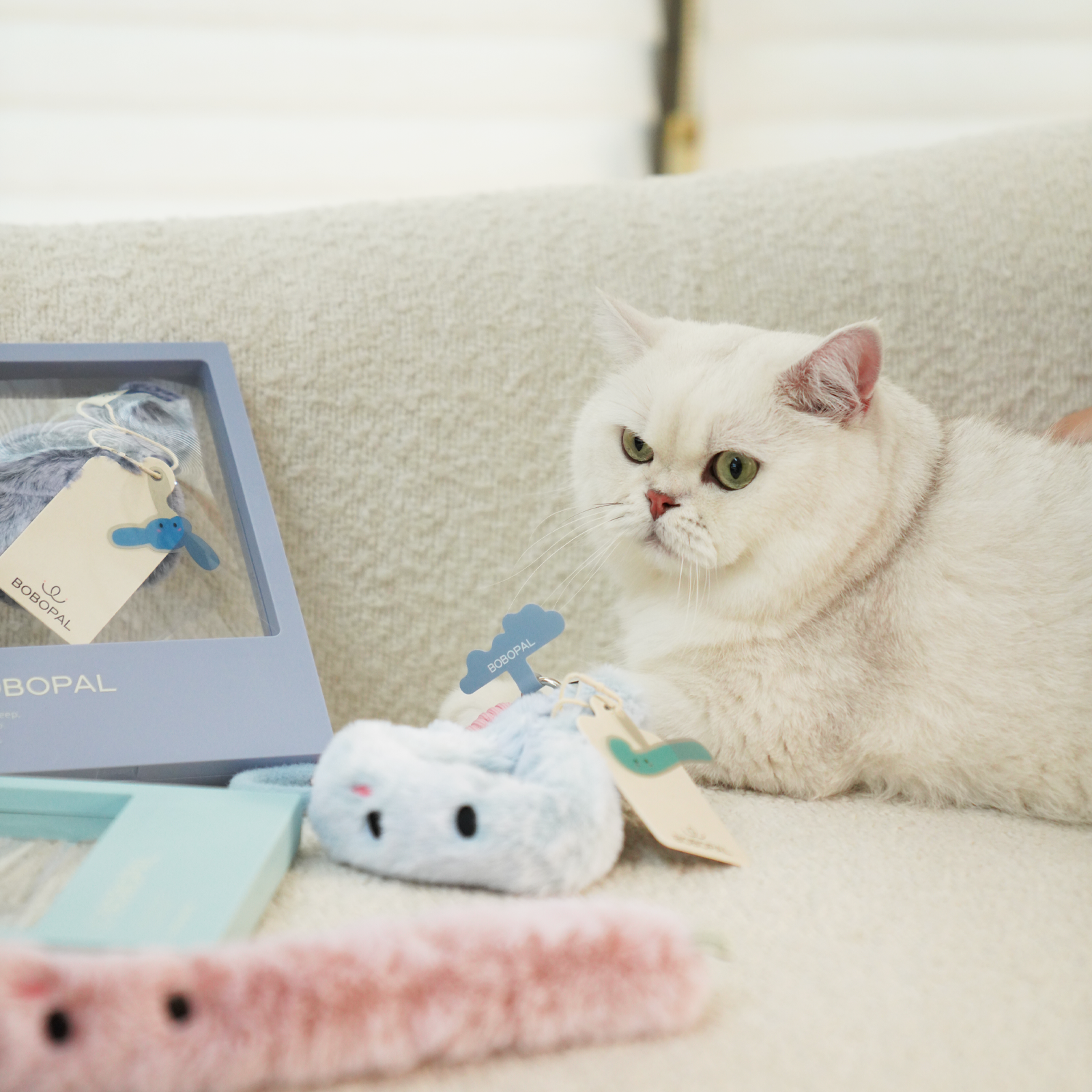 A Portable Piece of Home: Your Carry-Along Pet Comfort Ritual – BOBOPAL